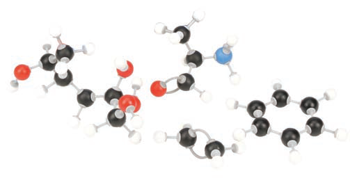 MOLECULAR MODEL SET - BIOCHEMISTRY SET - STUDENT - Laboratory Plasticw ...