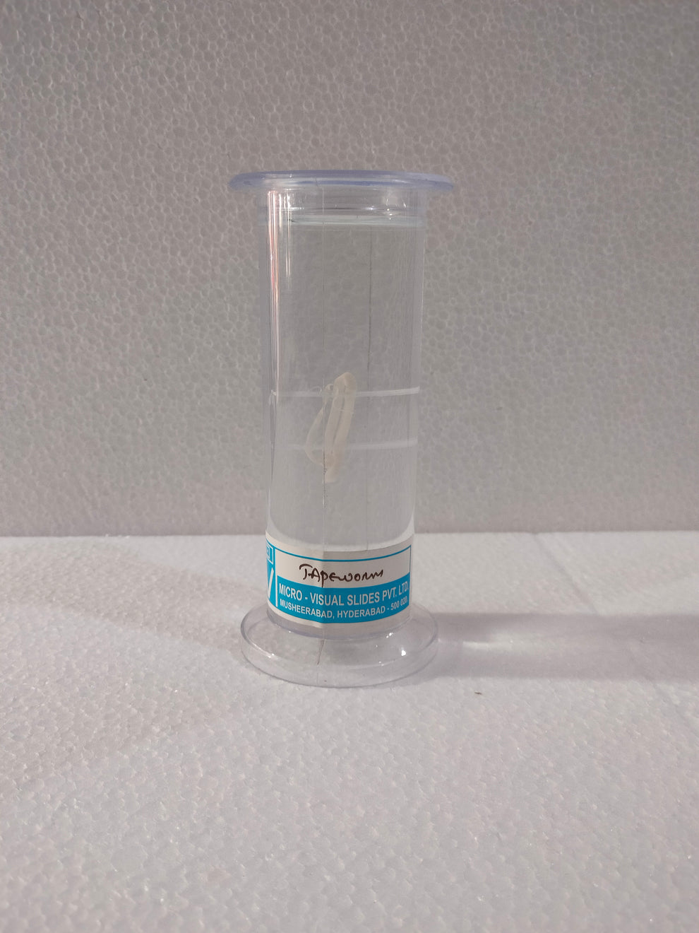 TAPE WORM PRESERVED SPECIMEN – M/S LAB TECH CORPORATION